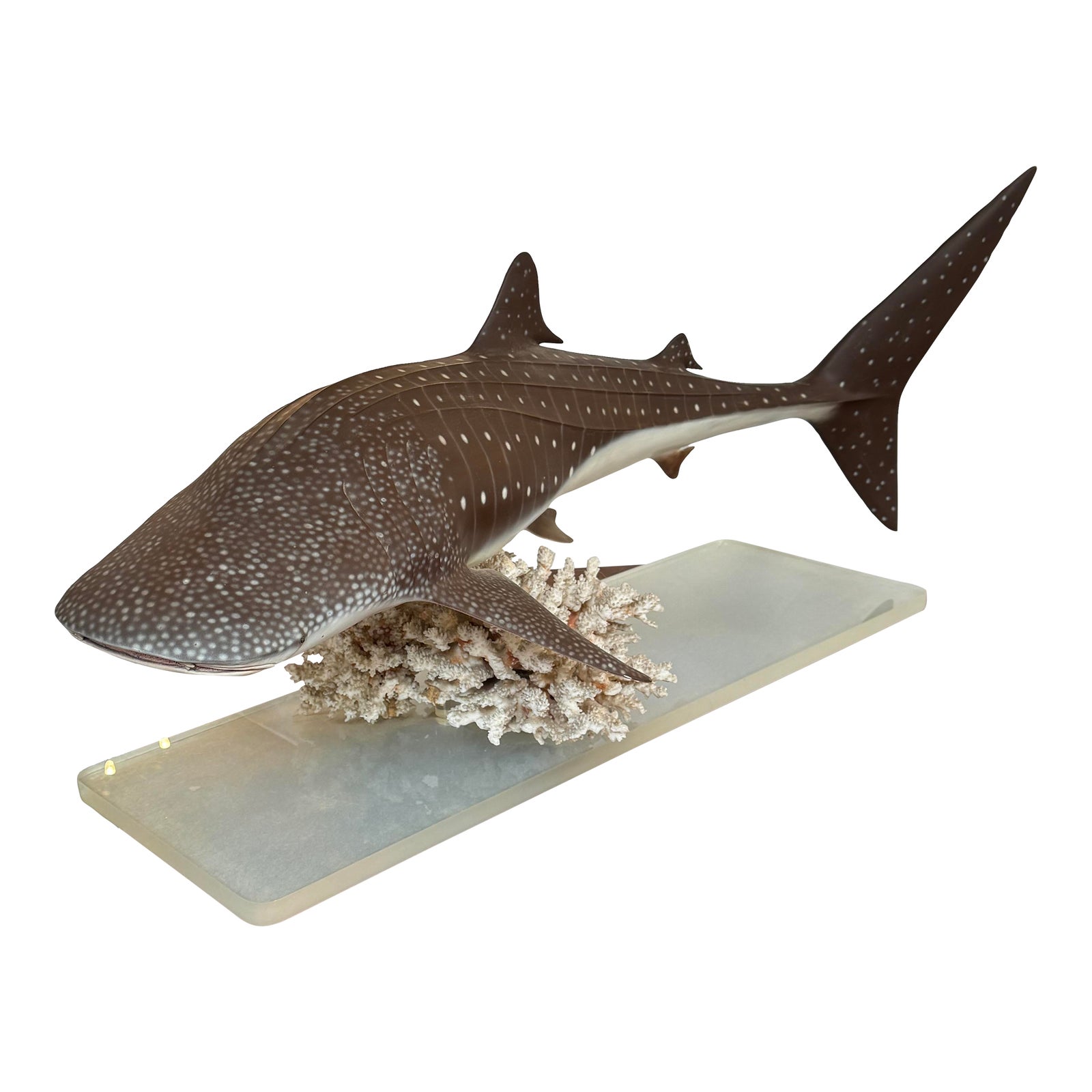 Jerry Glover Whale Shark + Coral Sculpture + Stand | Chairish