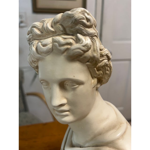 Mid 20th Century Vintage Neoclassical Bust of Apollo | Chairish