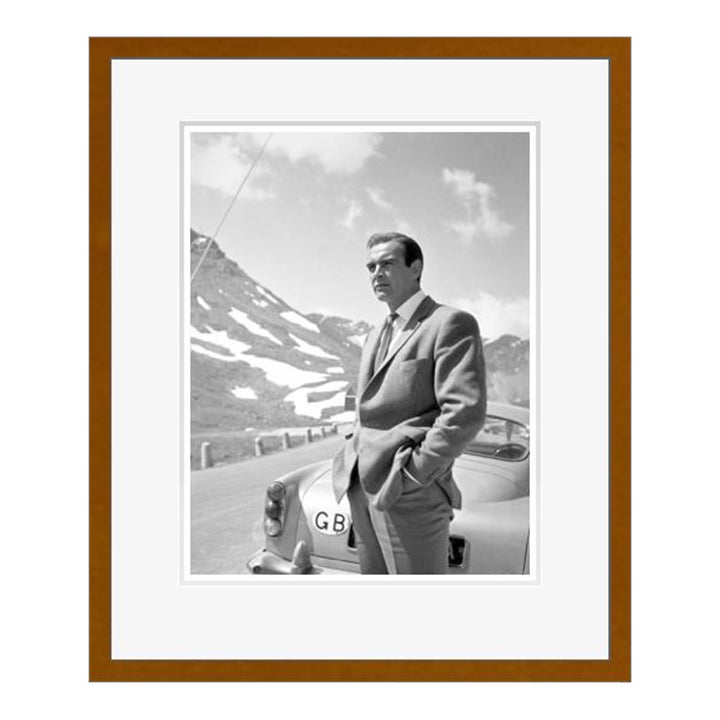 James Bond 007 Framed in Brown | Chairish