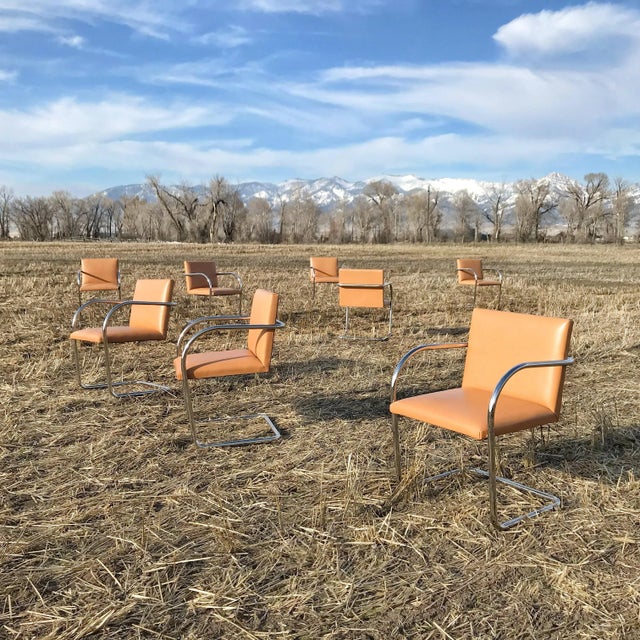 Mid 20th Century Leather Mies Van Der Rohe Style Tubular Stainless ...