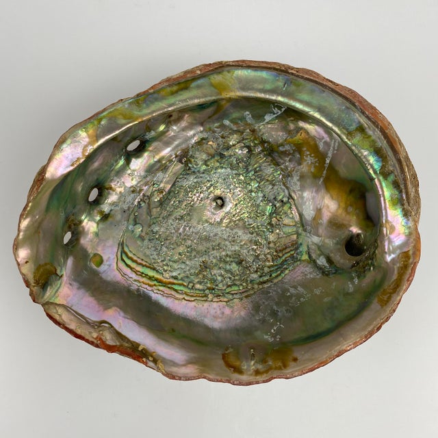 Vintage Decorative Abalone Shell | Chairish