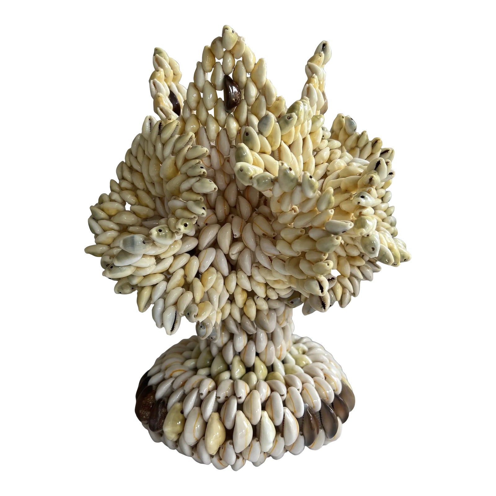 Late 19th Century Vintage South Pacific Cowrie Shell Vase | Chairish
