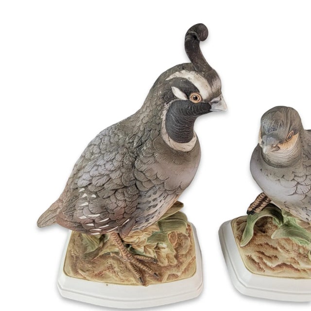 Vintage Andrea Porcelain Quail Bird Detailed Figurine Set of 2 | Chairish