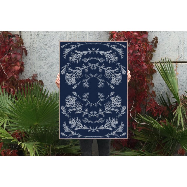 "Vintage Pressed Flowers Nº1", Botanical Cyanotype on Watercolor Paper ...