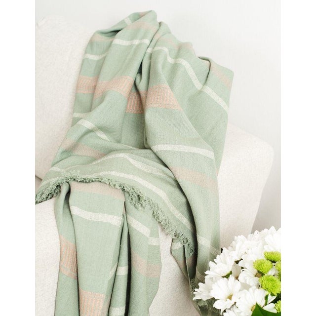 Contemporary Sage Pastel Green & Cream Shades Organic Cotton Handloom ...