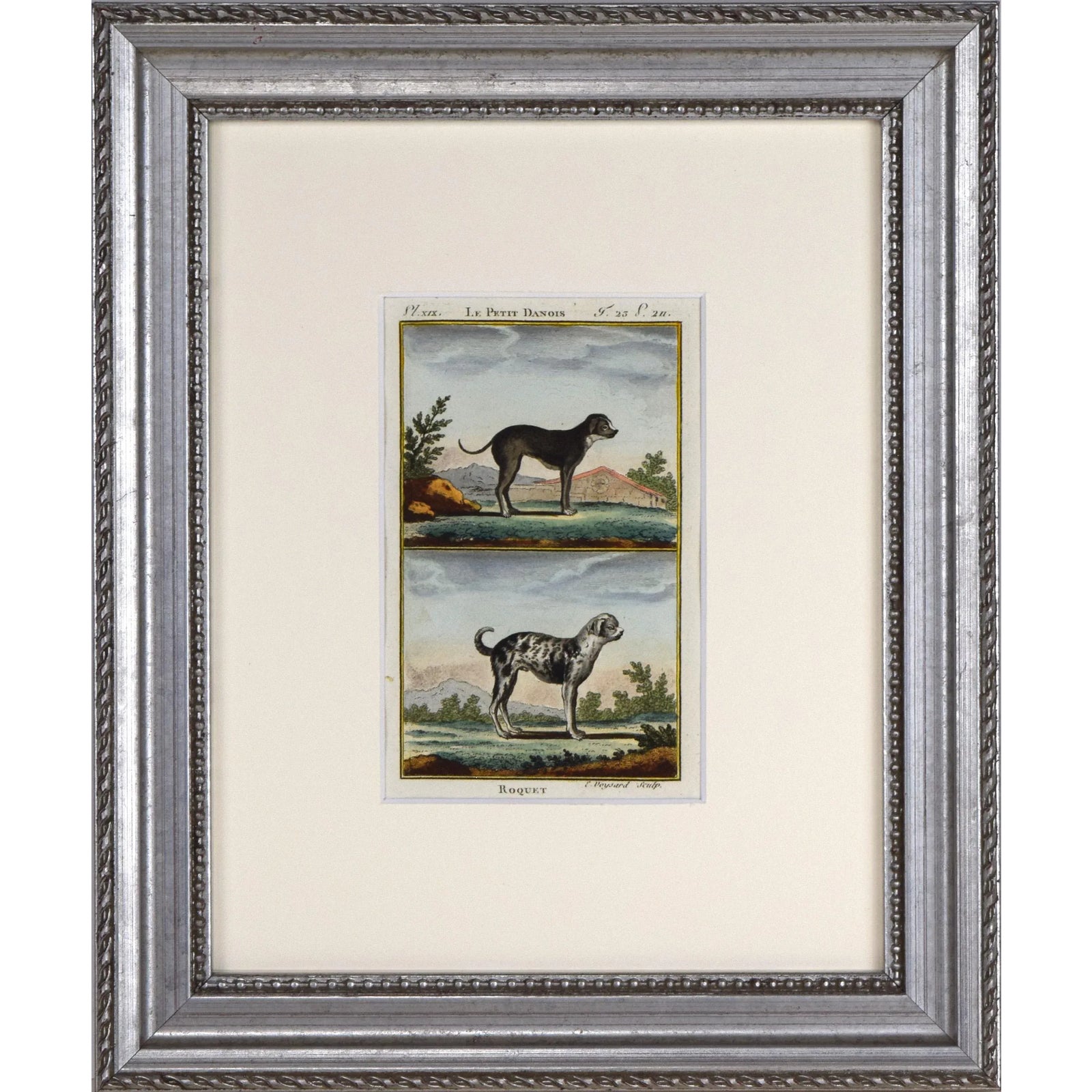 19th Century Antique Hand Colored French/Belgian Dog Lithograph by ...