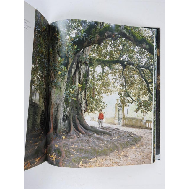 Remarkable Trees of the World Book | Chairish