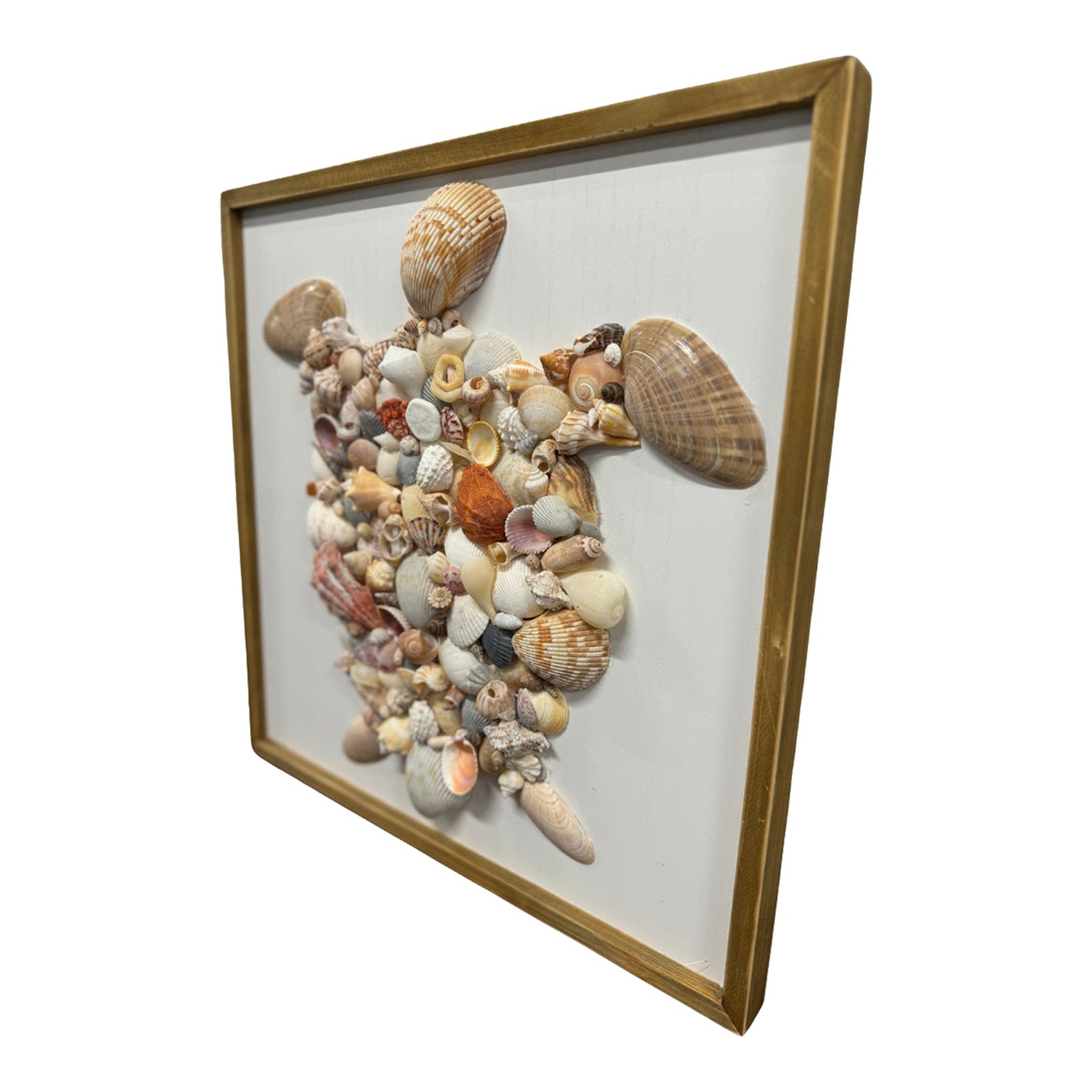 Custom Seashell Turtle Wall Art | Chairish