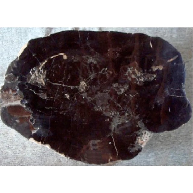 Petrified Wood Stump - Table - #915 (Rosewood) - Supellex | Chairish