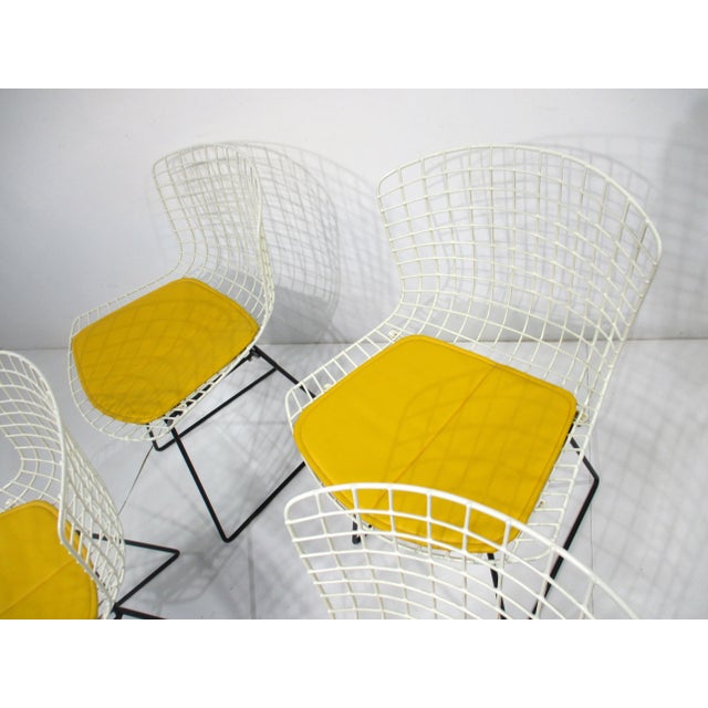 4 Knoll Wire Dining Chairs by Harry Bertoia | Chairish
