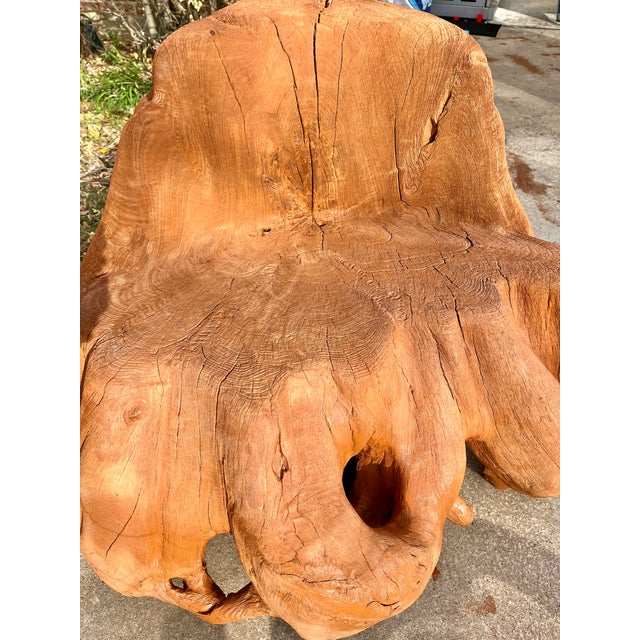 Rustic Teak Root Chair | Chairish