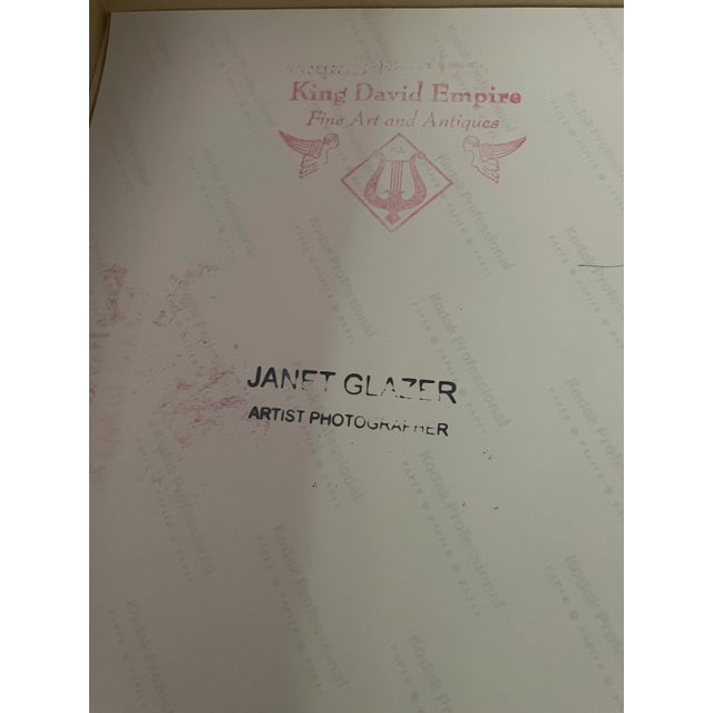 Gelatin Silver Photograph | Chairish