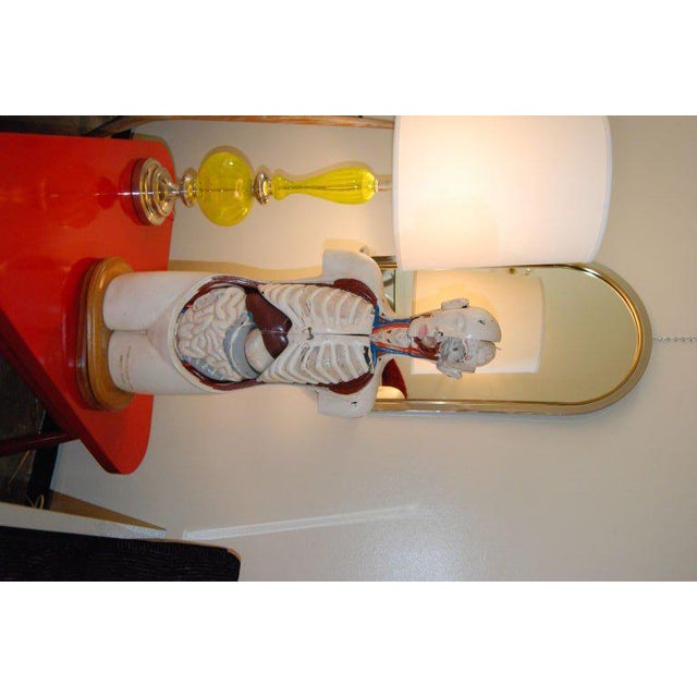 Medical Model by Denoyer Geppert | Chairish