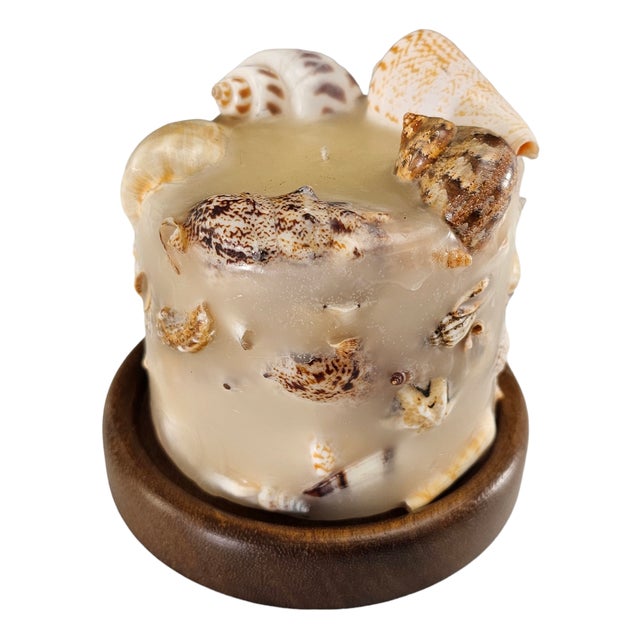 Embedded Shell Candle Wax W/ Wood Stand | Chairish