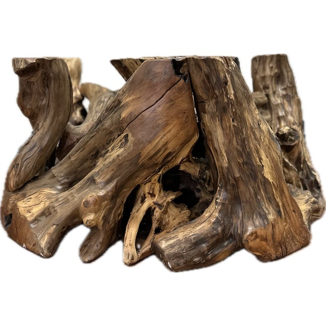 Organic Root Coffee Table Base | Chairish