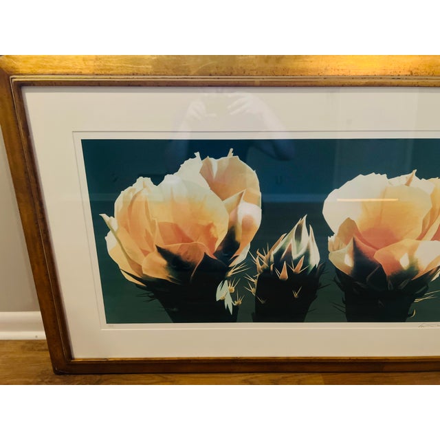 Ed Mell Artist Proof “Cactus Flower” Large Scale Serigraph Western Art ...