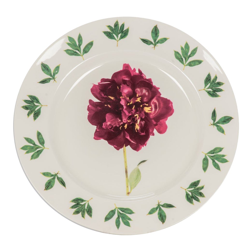 Peony Dinner Plate by Christopher Spitzmiller, Variety #14 | Chairish