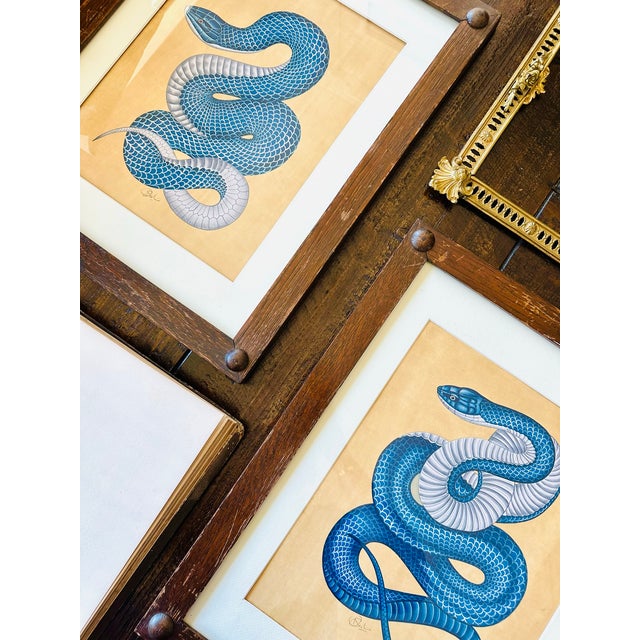 Original Hand-Painted Snake in a Vintage Wooden Frame | Chairish