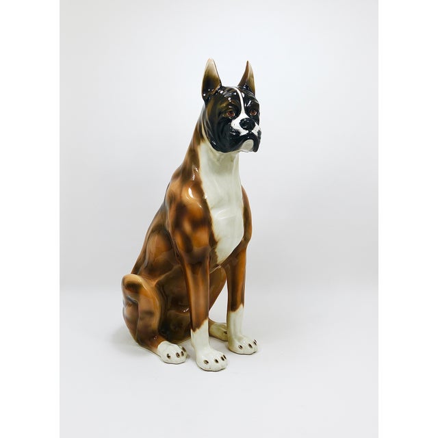 Boxer Dog Life-Size Majolica Statue Sculpture in Glazed Ceramic, Italy ...