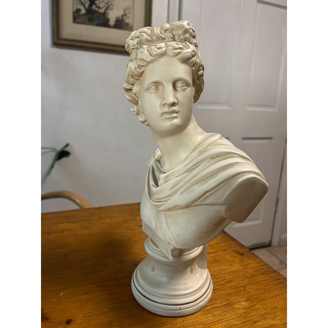Mid 20th Century Vintage Neoclassical Bust of Apollo | Chairish