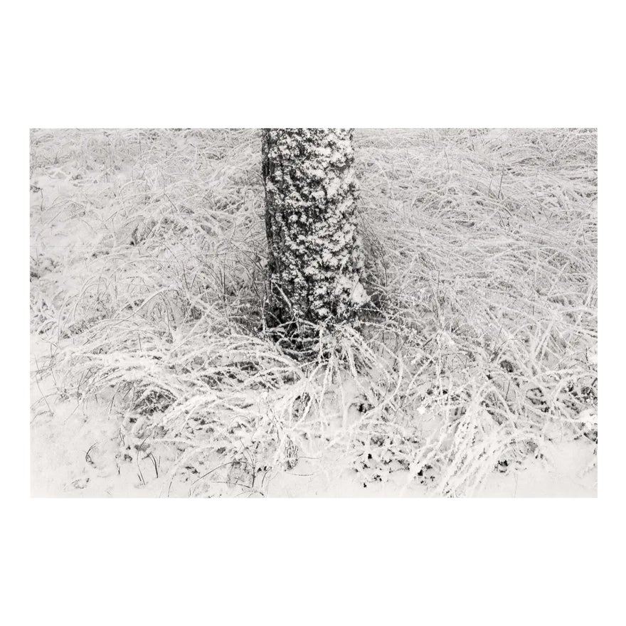 Baltic Freeze #2 - Black and White Analogue Landscape Photography 42 X ...