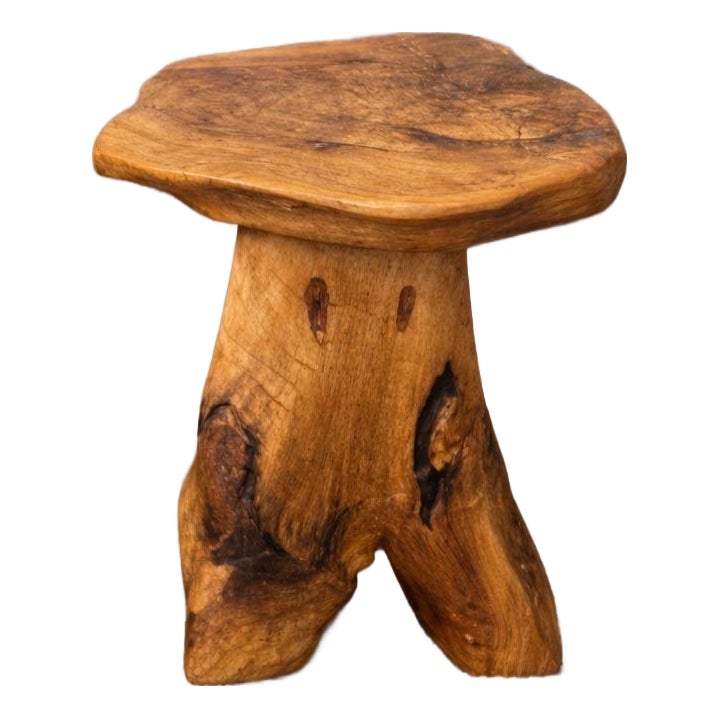 Late 20th Century Organic Modern Live Edge Root Side Table Sculptural ...