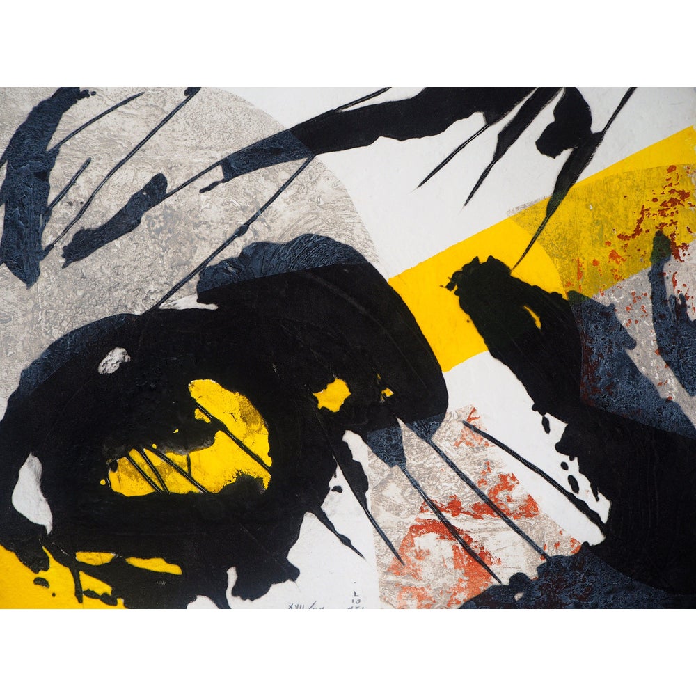 Lionel, The Origin of Yellow, Etching | Chairish