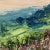Colin Halliday, Northern Moorland Impasto Landscape Oil Painting by ...