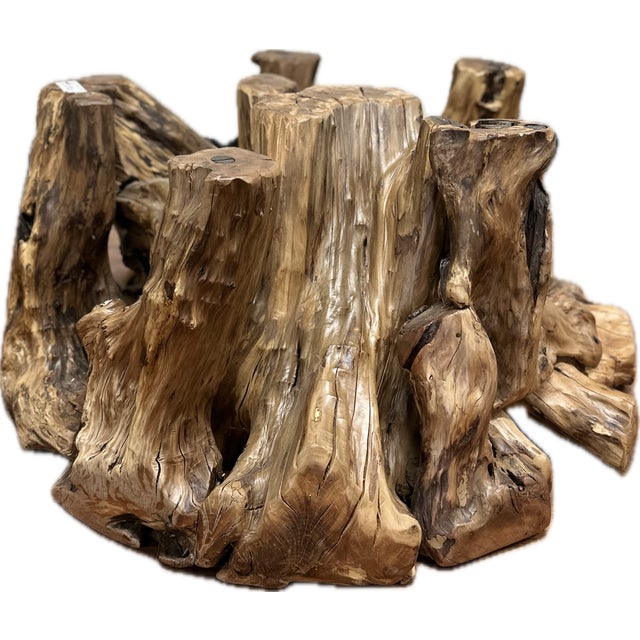 Organic Root Coffee Table Base | Chairish