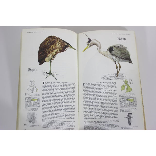 1972 Coffee Table Book for Decorating Book of British Birds | Chairish