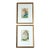 Pair of Gold Framed 1895 Antique Original Botanical Chromolithograph ...