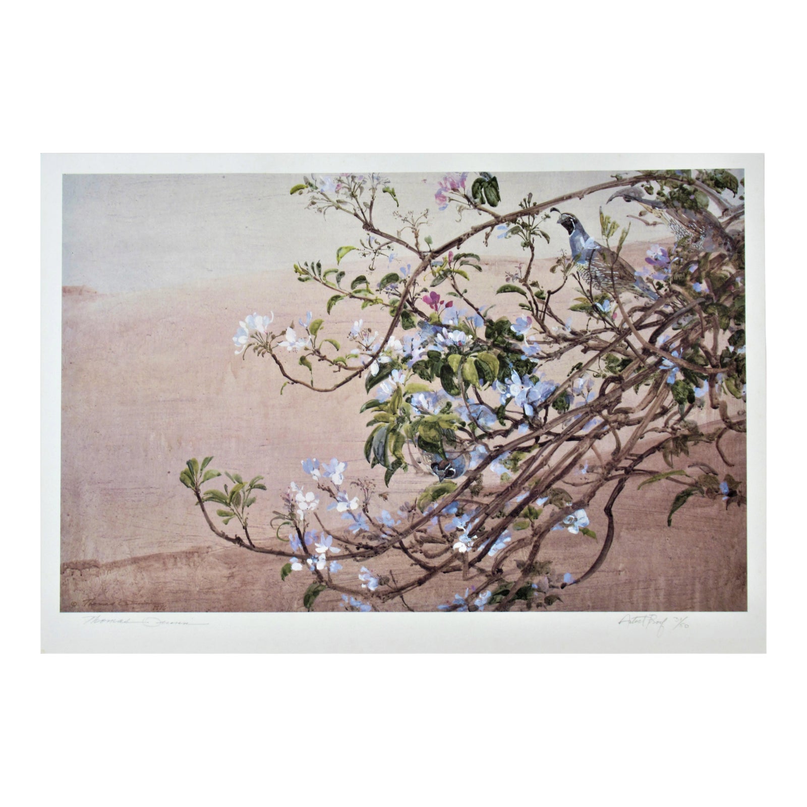 Thomas Quinn, Bird in the Tree, 1976 | Chairish