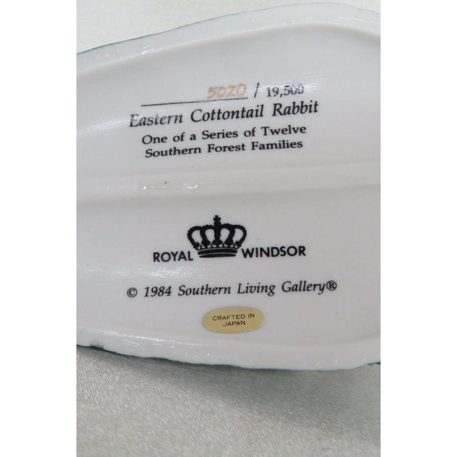 Royal Windsor Eastern Cottontail Rabbit Southern Forest Families ...