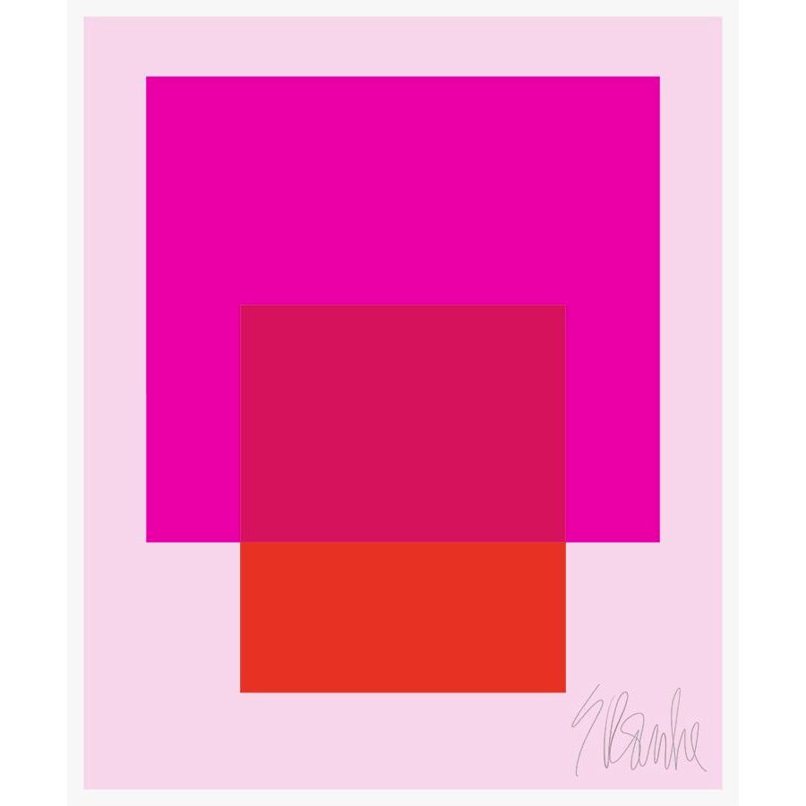 The Interaction of Deep Hot Pink and Red on Light Pink Fine Art Print ...