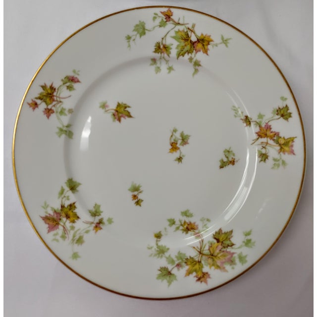 Vintage Haviland's Autumn Leaf Pattern Dinner Plates, Set of 6 | Chairish