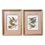 Vintage Bird Family Prints by William Rutledge Matted and Framed- a ...