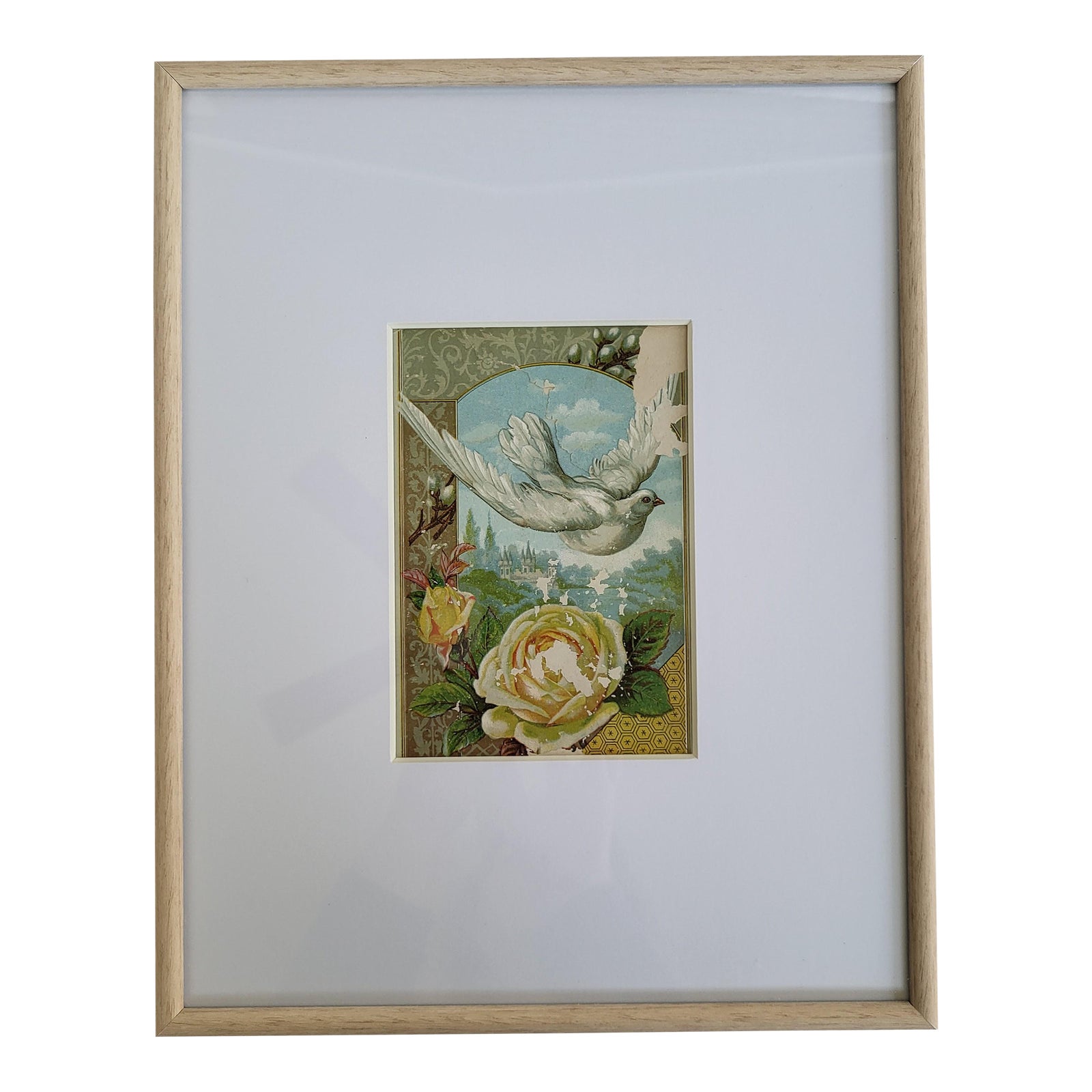 Early 20th Century Framed Victorian Dove With Rose Advertisement Card ...
