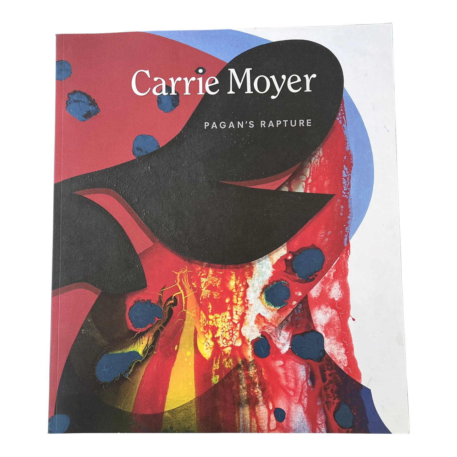 Carrie Moyer “Pagan Rapture” Art Book - DC Moore Gallery Exhibition ...