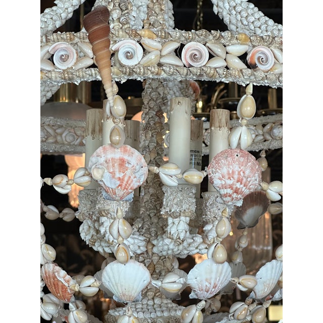 Vintage 6 Light Encrusted Seashell Shell Palm Beach Chandelier | Chairish