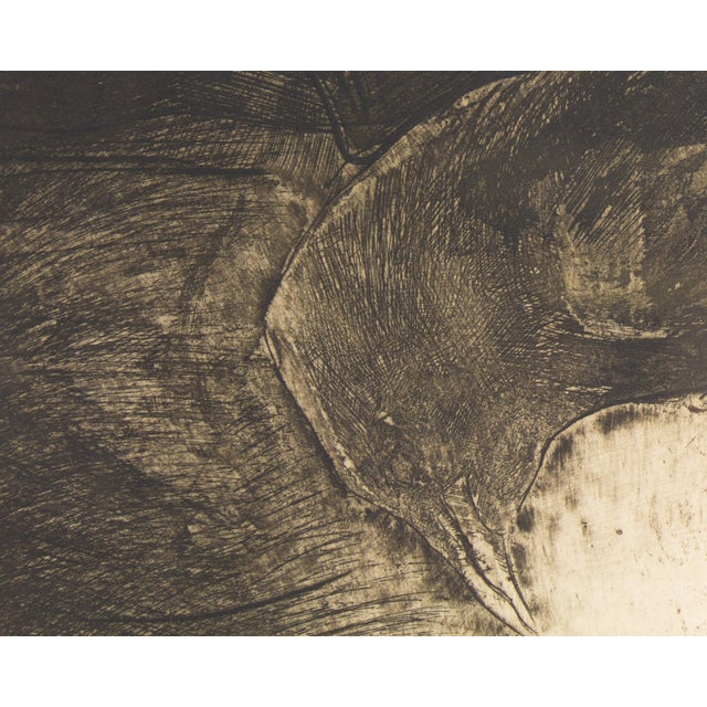 1965 Limited Edition Etching of a Bird by Robert Ernst Marx | Chairish