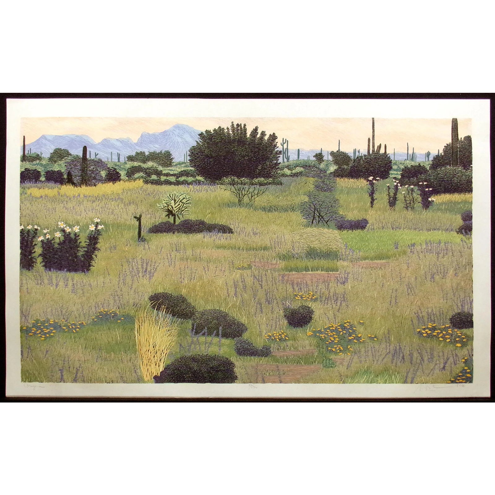 1986 "Arizona" Landscape Woodcut Reduction Art on Paper by Gordon ...