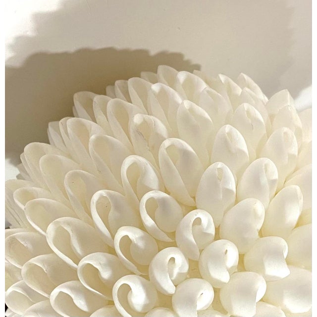 White Sea Shell Ball Vintage 1990’s | Chairish