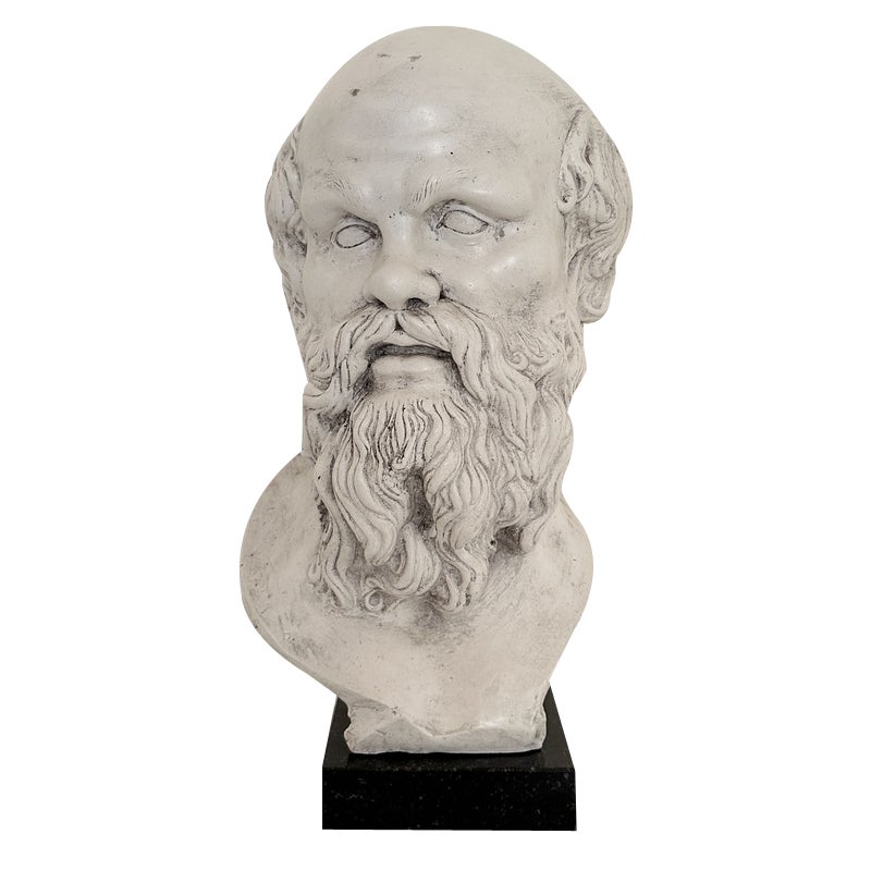 White Bust of Socrates, 1940, Plaster on a Black Marble Base | Chairish