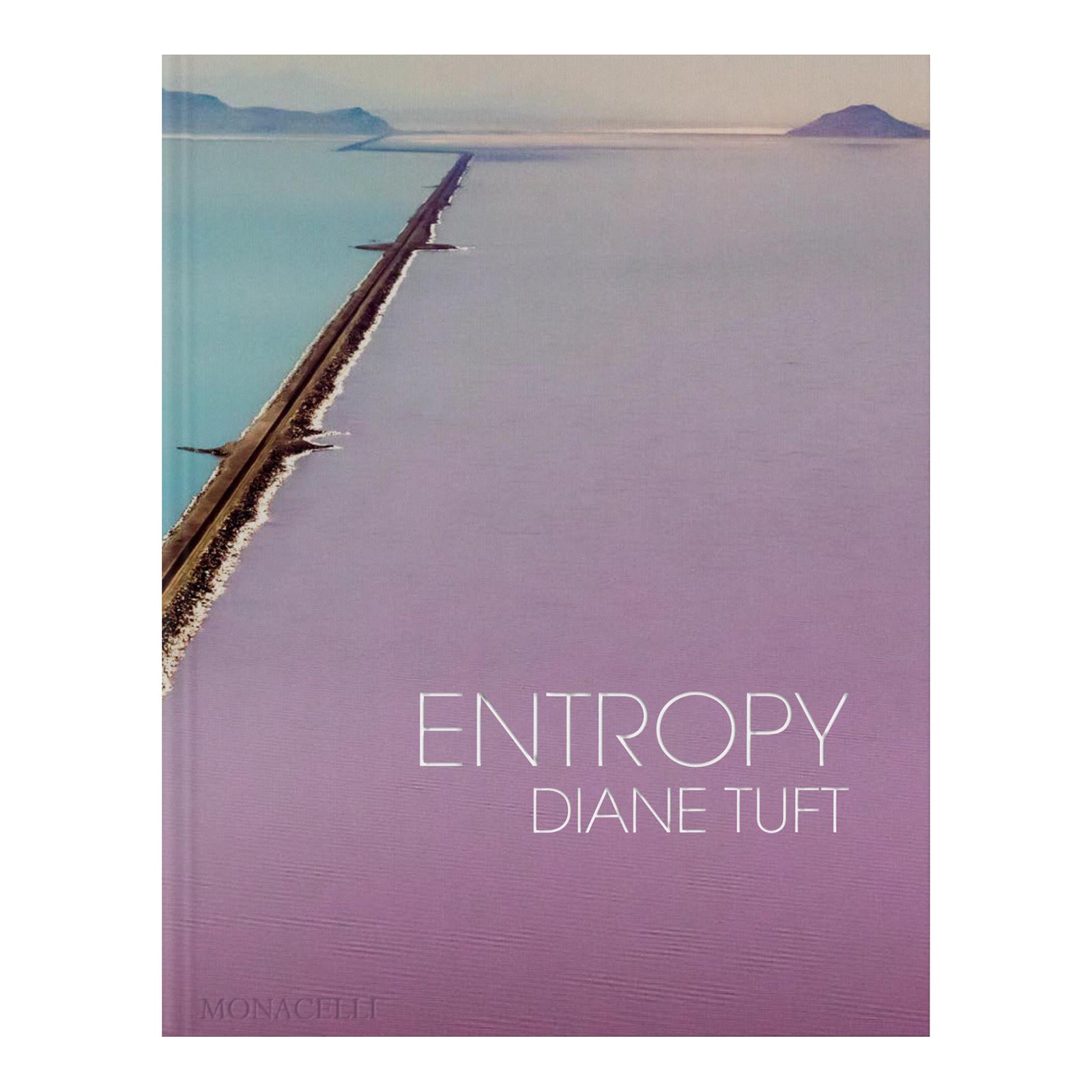 Entropy Book by Diane Tuft | Chairish