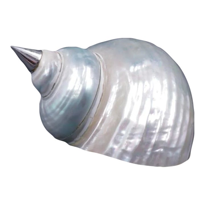 Vintage Polished Shell Box | Chairish