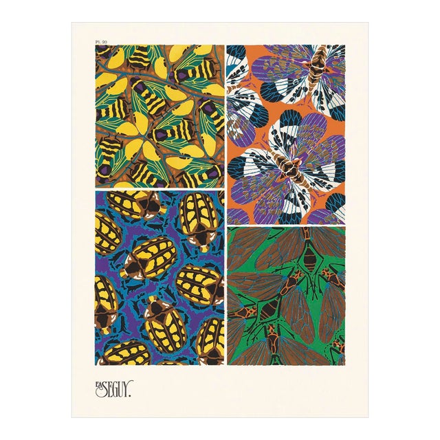 Insects Giclee Reproduction Art Print by Emile-Allain Seguy | Chairish