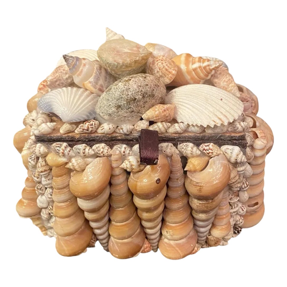 Vintage Seashell Trinket Box | Chairish