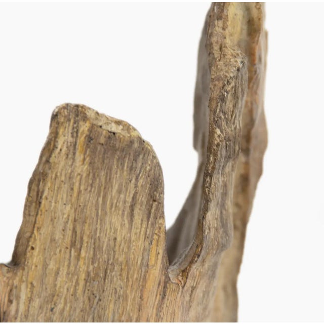 Large Wooden Tree Trunk Resin Sculpture in Distressed Brown Finish ...