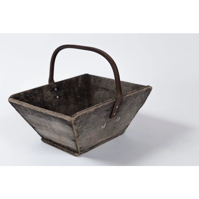 Antique French Garden Trug (Panier), Early 20th Century | Chairish