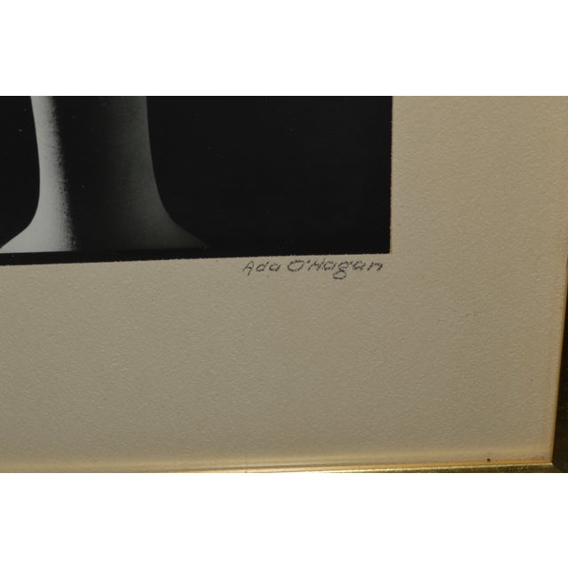 Vintage Ada O'Hagan Signed Framed Black & White Still Life Botanical ...